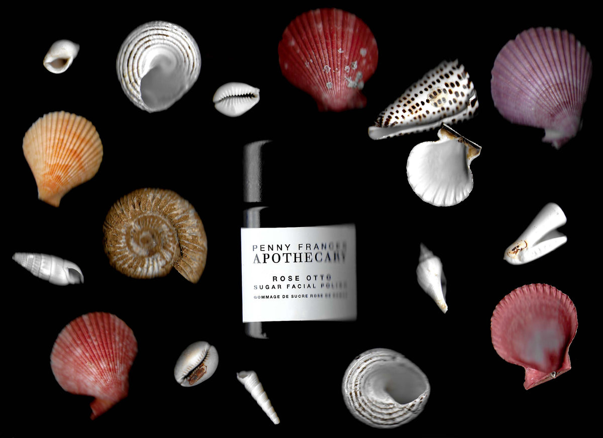 Rose Otto Sugar Facial Polish 100ml/3.38 fl oz – Penny Frances Apothecary